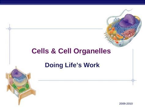Ppt Chapter 6 Cell Structure And Function Dokumentips