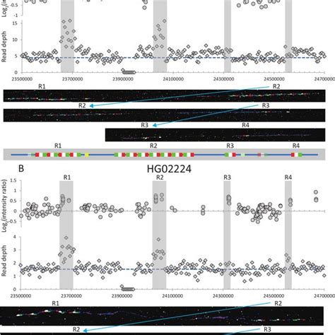 Examples Of Two Samples From The 1000 Genomes Project With Different