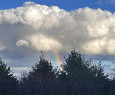 Has Anyone Found The Gold At The End Of The Rainbow Yet R