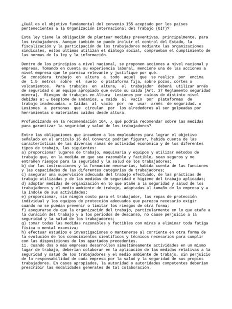 Seguridad E Higiene Industrial Pdf Organización Internacional Del