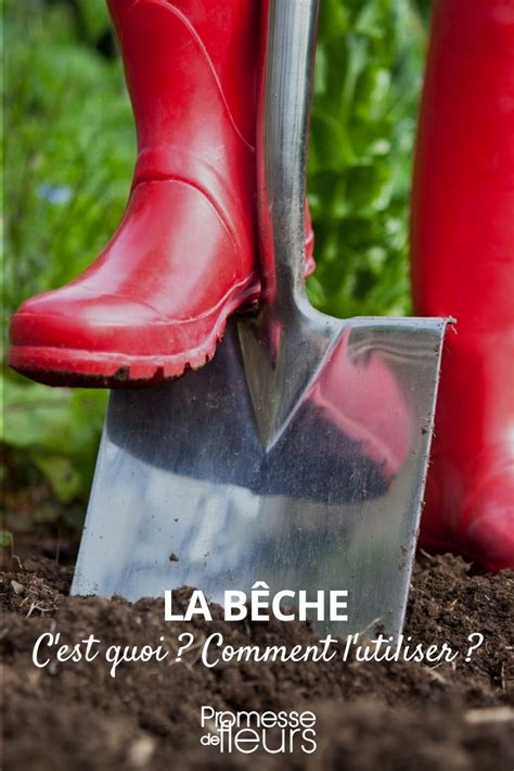 A Quoi Sert Une Bêche Blog Promesse De Fleurs