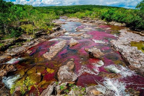3 Day Caño Cristales Rainbow River From Bogotá 2025 Book Now