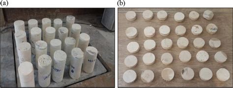 Some Of The Specimens Used For Laboratory Tests A Vp Test And B Pli