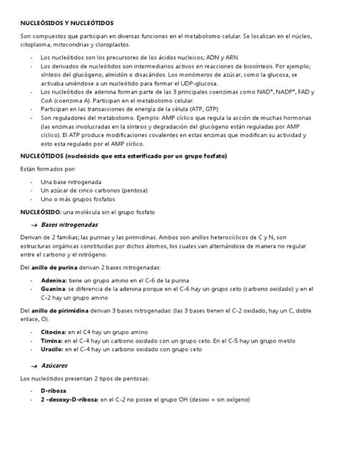 NucleÓsidos Y NucleÓtidos Pdf