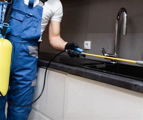 Top 10 Termite Prevention Techniques