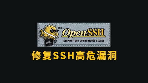 一键修复OpenSSH高危漏洞 保障VPS服务器登录安全 YouTube