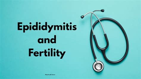 Understanding Epididymitis And Its Impact On Male Fertility The Fertility Nest