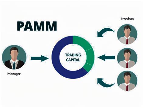 حساب پم چیست؟ سرمایه گذاری در حساب Pamm چگونه است؟
