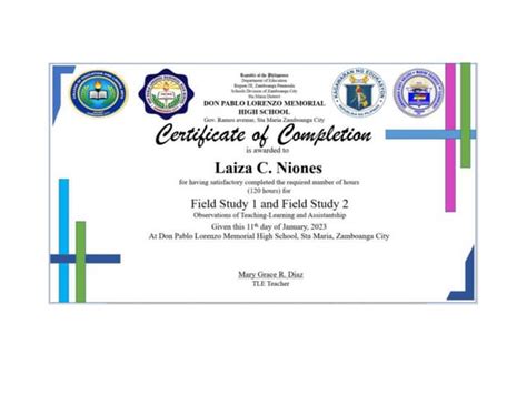 Lesson Plan Digital Citizenshipdocx