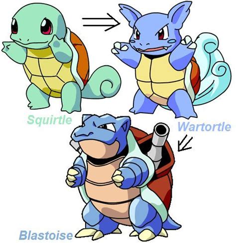 Pokémon Squirtle Evolution Pokémon Desenho Pokemon Base De Desenho