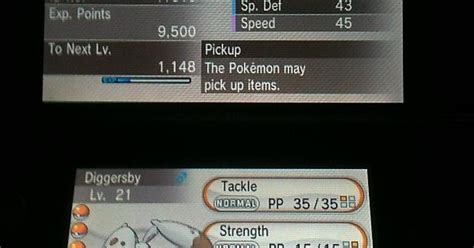 My Sister Started Crying Because Cute Bunnelby Evolved Into Ugly Diggersby Imgur