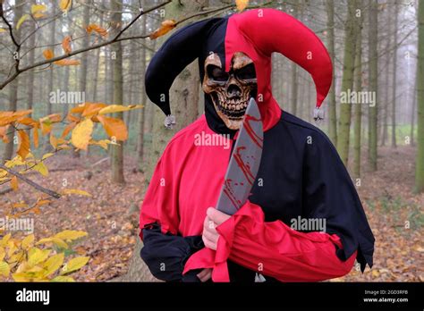 Harlequin Halloween Mask