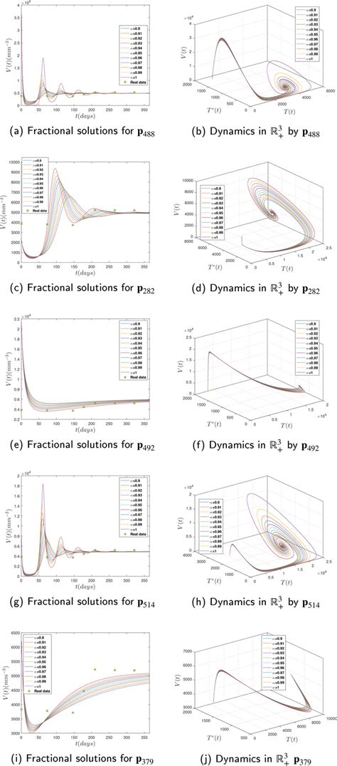 Results Of Numerical Simulations Via Caputo Fractional Derivative In Download Scientific