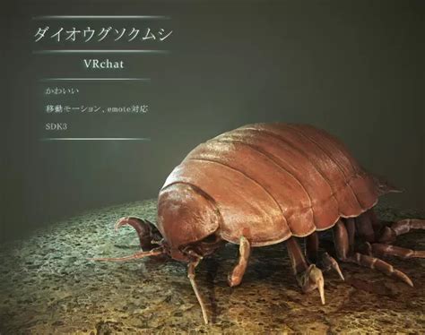 3d Model For Giant Isopod By Okkuzbrush Vrcarena