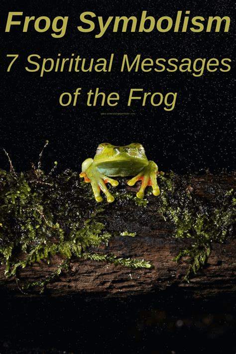 Frog Symbolism 7 Spiritual Messages Of The Frog — Amanda Linette Meder