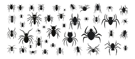 Premium Vector Spider Linear Silhouette Clipart Big Halloween Collection
