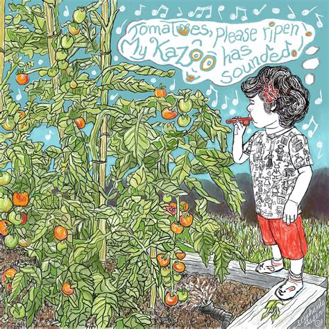 Stephanie Osser Illustrator