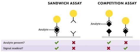 Ultra Bright Gold Nanoshells In Lateral Flow Diagnostics