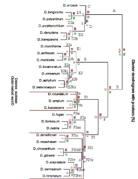 Cluster Dendrogram Constructed According To Pvclust Cluster Analysis