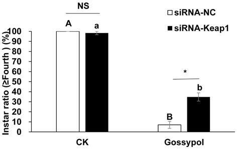 Keap1 Negatively Regulates Transcription Of Three Counter Defense Genes