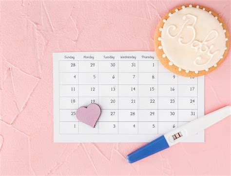 Calculate Pregnancy Due Date Expert Guide