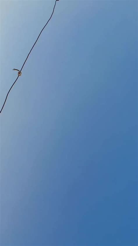 Mitu🥰🥰 ভাইরাল ভিডিও🥰🥰🥰🥰 ️ ️ ️ Tiktok