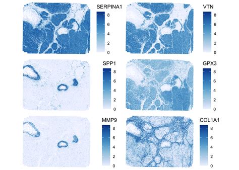 Github Elena983merscope Spatial Analysis Spatial Analysis Merscope Example Data