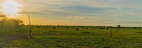 Activities Guided Tours And Day Trips In Chaco