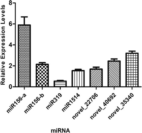 Stem Loop Rt Qpcr Expression Analysis Of The Mirna Identified To Target