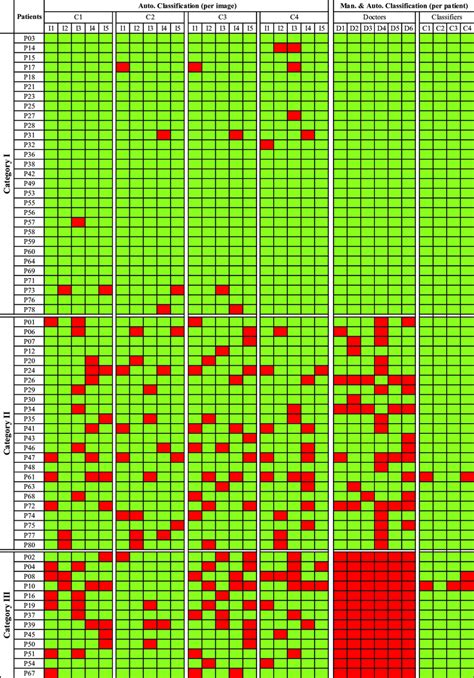 An Overall View Of The Manual And Automatic Classification Of Every