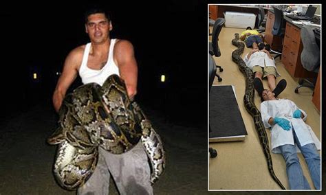 Record Setting 128lb Python Killed By Knife Wielding Miami Man