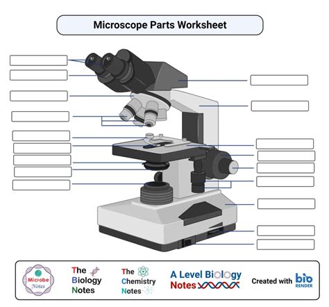 Parts Of A Microscope Worksheet Amemyid