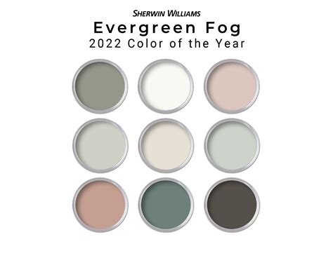 Sherwin Evergreen Fog Color Palette