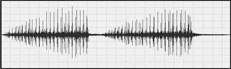Spectrogram And Time Display Of Two Edible Frog Calls Time Scale 0
