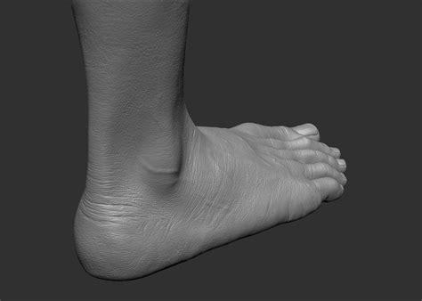 Human Foot Reference
