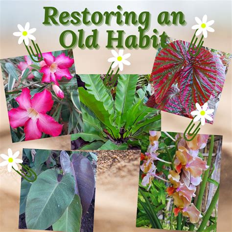 Edralyn Rivera Cpa Cma On Linkedin Virtualbookkeeper Bookkeeping Greenthumb Landscaping