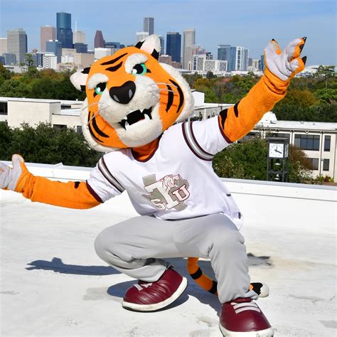🐅🐯celebrating National Mascot Texas Southern University Facebook