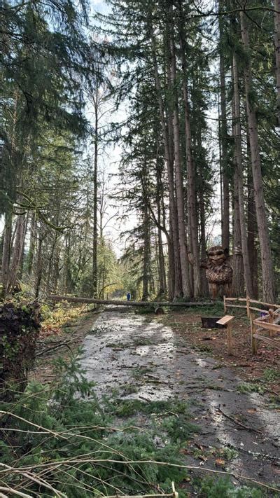 Jakob Two Trees Still Stands Tall Travel Outdoors
