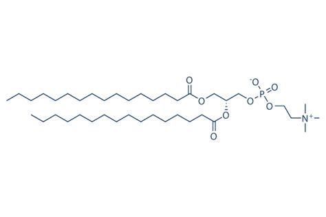 12 Dipalmitoyl Sn Glycero 3 Phosphocholine Cas 63 89 8 Selleck