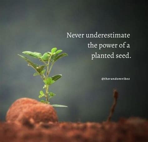 Planting Seeds Quotes To Inspire You To Be Successful