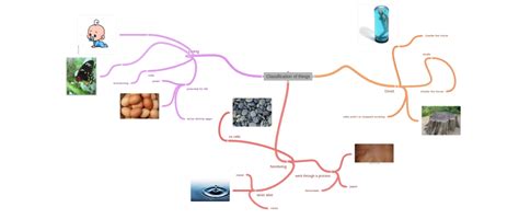 Classification Of Things Coggle Diagram