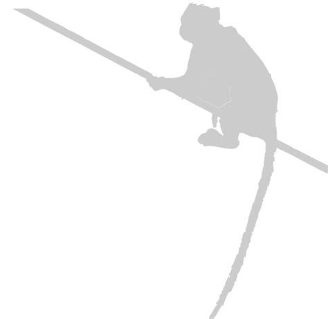 Ape 36628957 Vector Art At Vecteezy