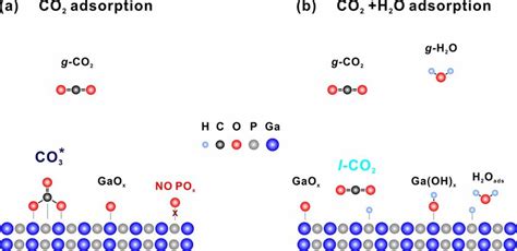 The Summary Scheme For Co2 Adsorption Configuration On Gap Surface Both
