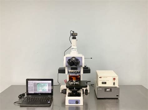 Nikon Eclipse E800 Fluorescence Microscope Tlwg