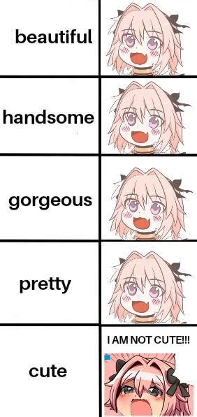 I Am Not Cute Rfemboymemes