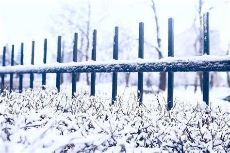 Premium Photo Branches Covered With Snow Background Winter Trees And Bushes Without Leaves