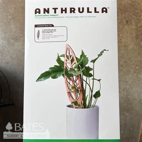 Stake Anthrulla Anthurium Silhouette Regular Cherry Treleaf