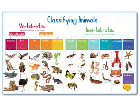 This Brand New Outdoor Learning Resource Is Bright Colourful And