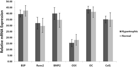 Cells Were Cultured In Osteogenic Induction Medium Rt Pcr Analysis Of