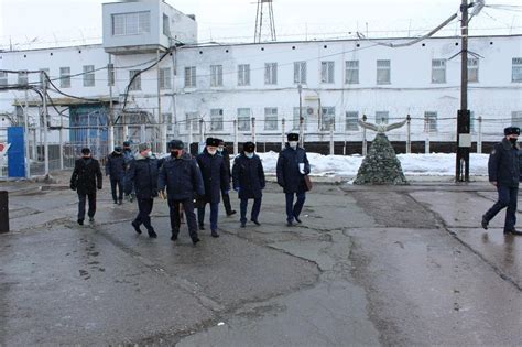 За полярным кругом снег белый белый Как живет колония Полярная сова — самая северная зона для